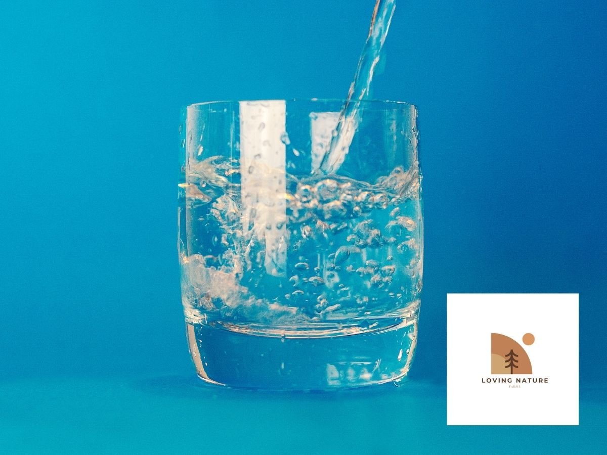 How Much Does Water Weigh? Fun Facts About the Weight of Water