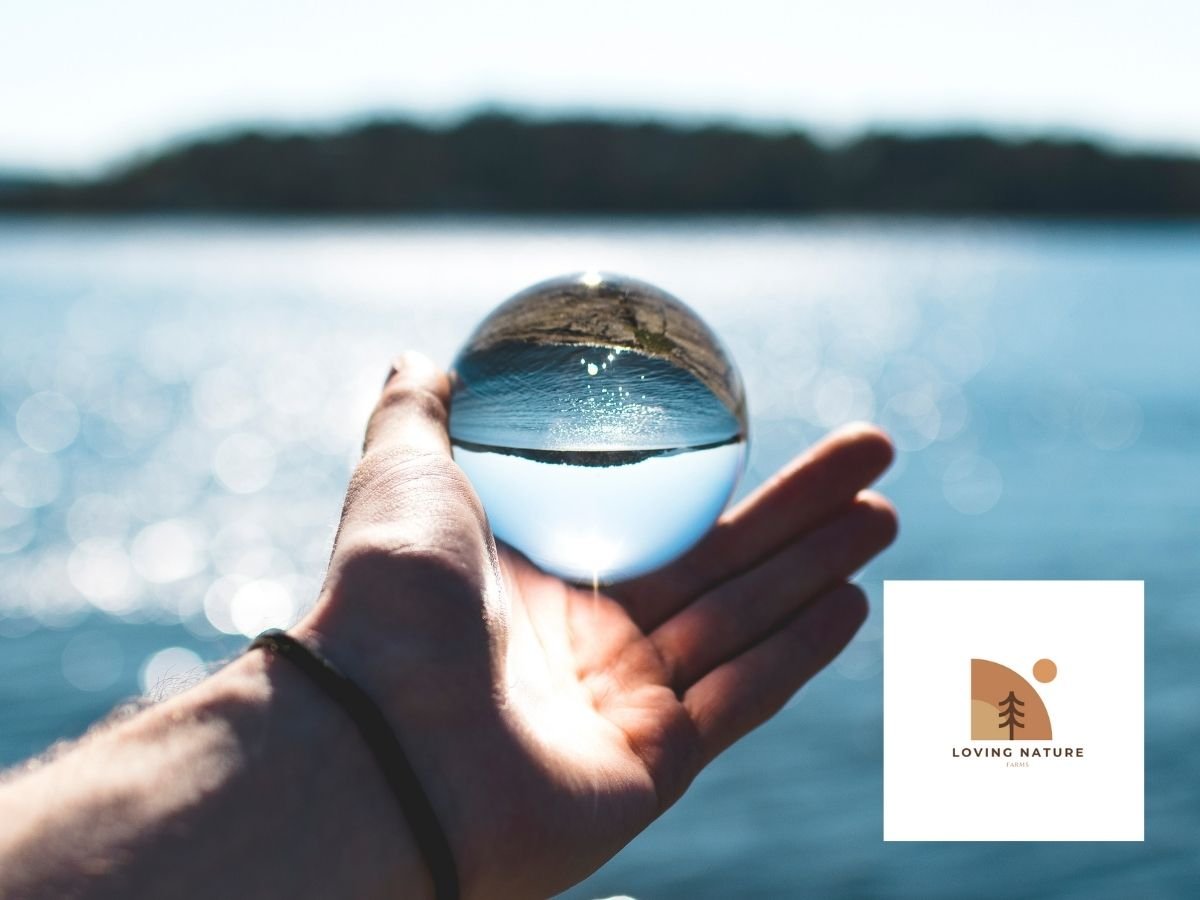How Much Does Water Weigh? Fun Facts About the Weight of Water