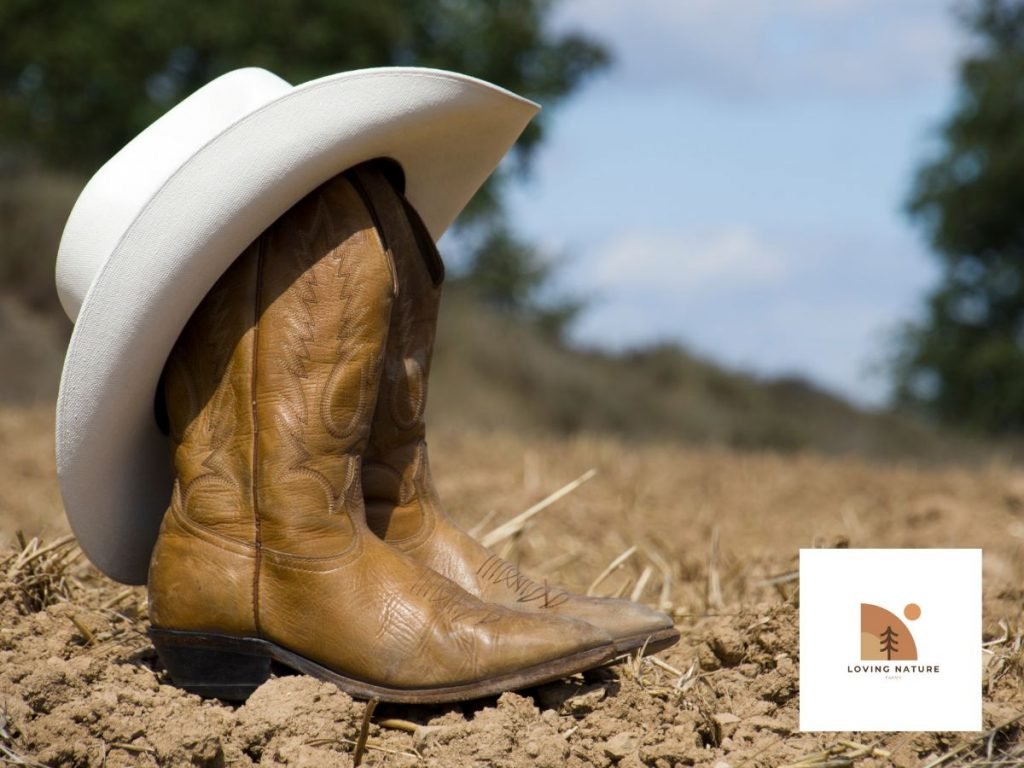 Cowboy Hat Guide: Differences and Purposes